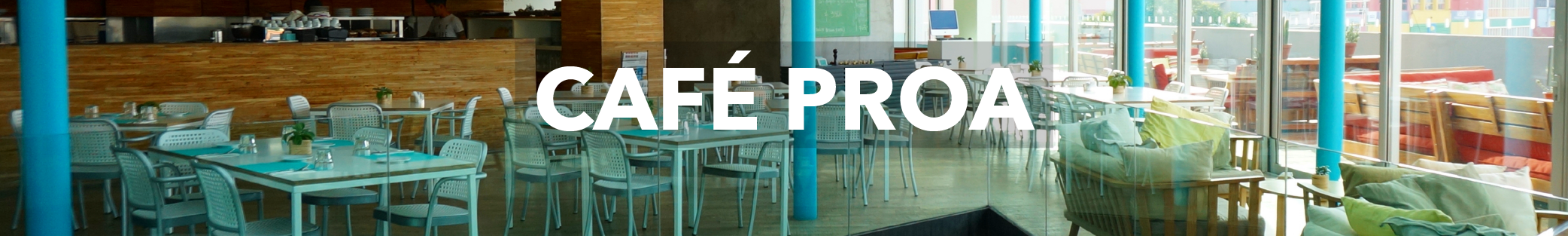 Fundación PROA